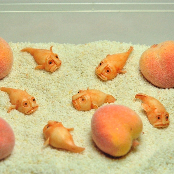 Polymer Clay Fish - Etsy