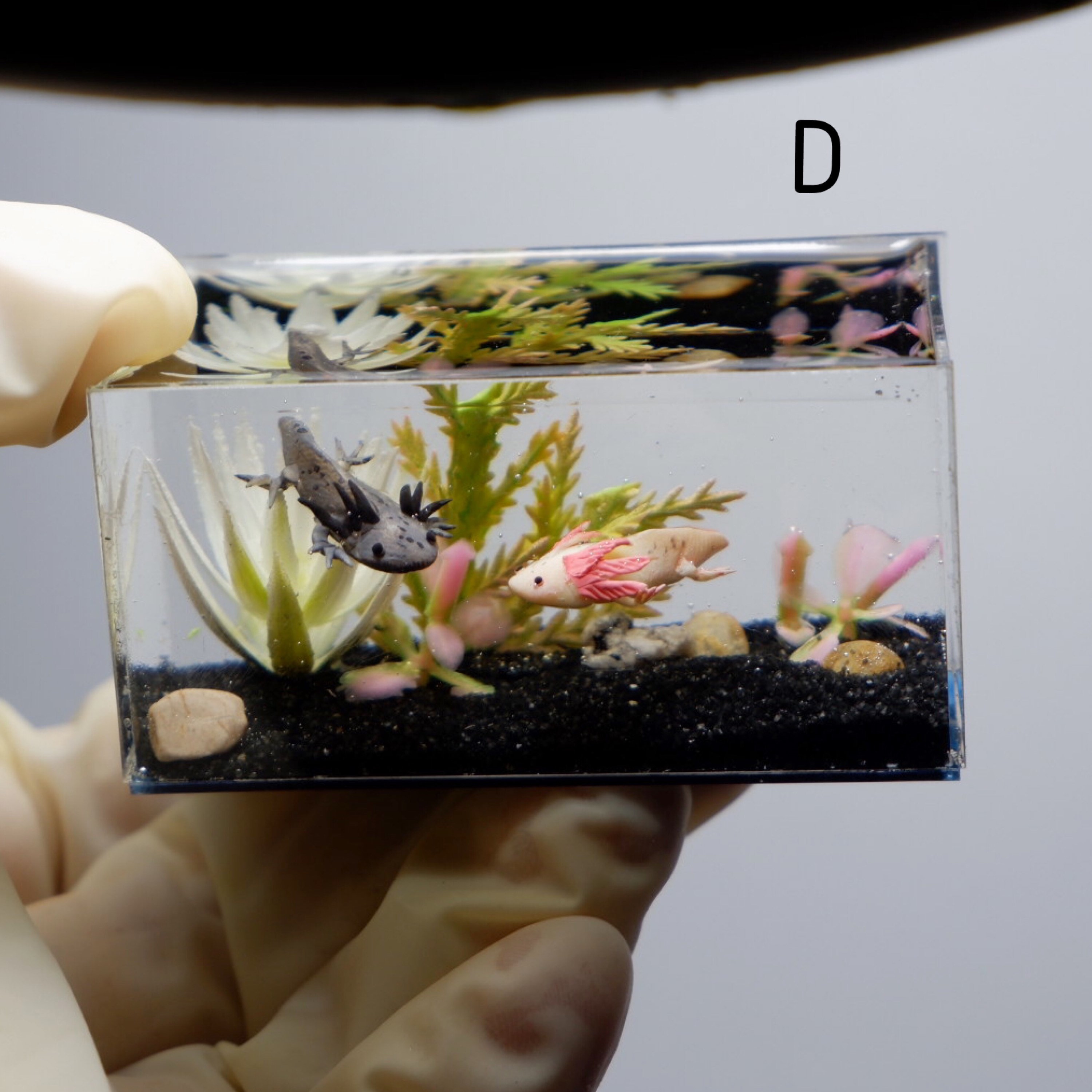 Miniature Clay Axolotls in the Tank - Etsy