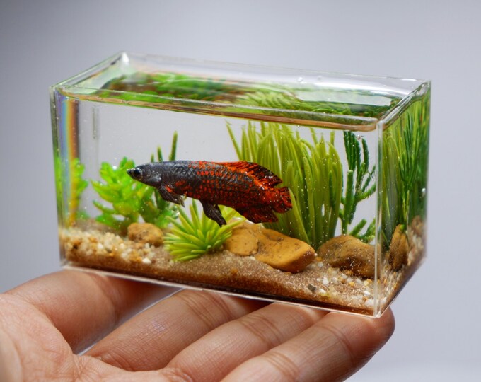 Miniature Replica Arapaima in the Tank - Etsy