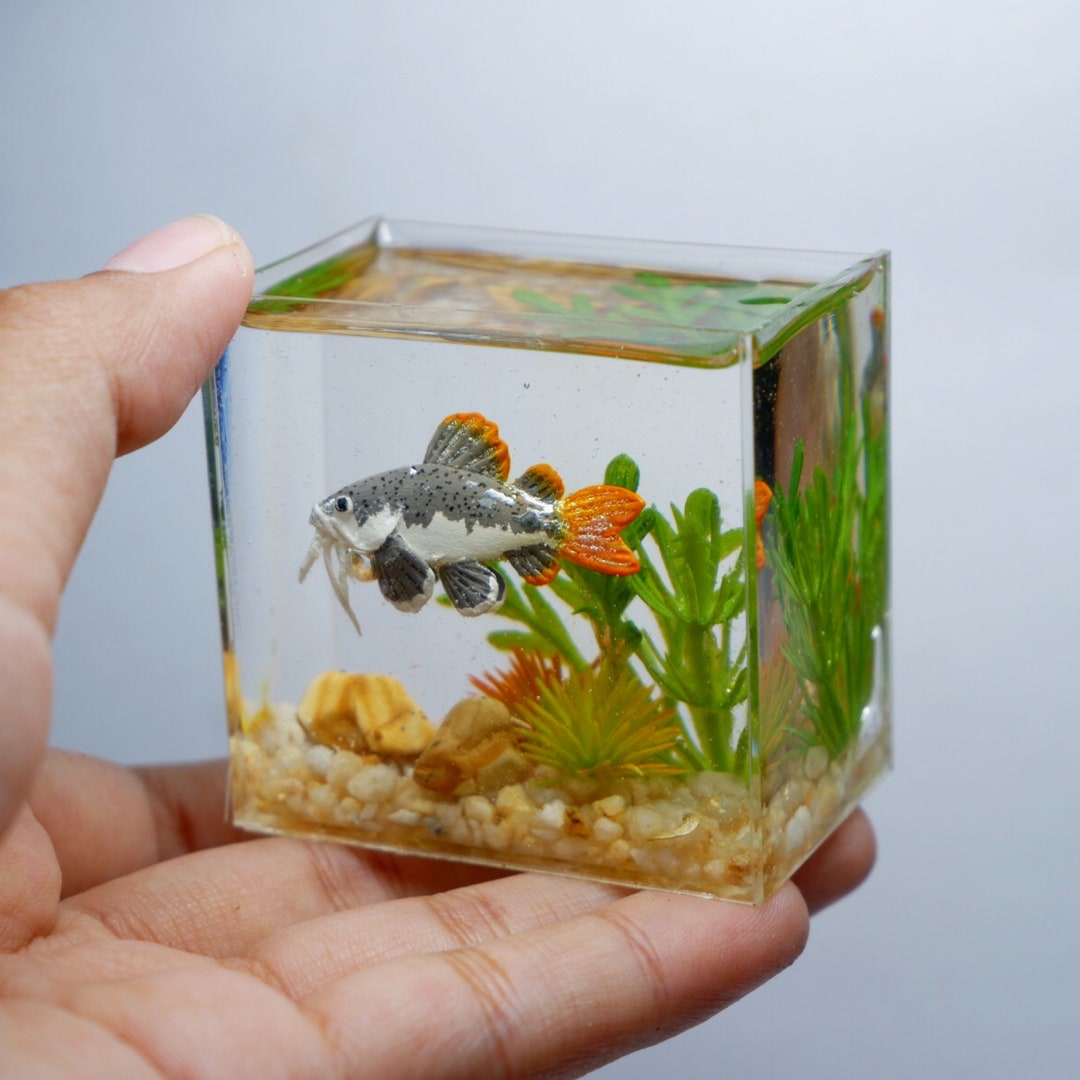 Miniature Replica Redtail Catfish in the Tank - Etsy