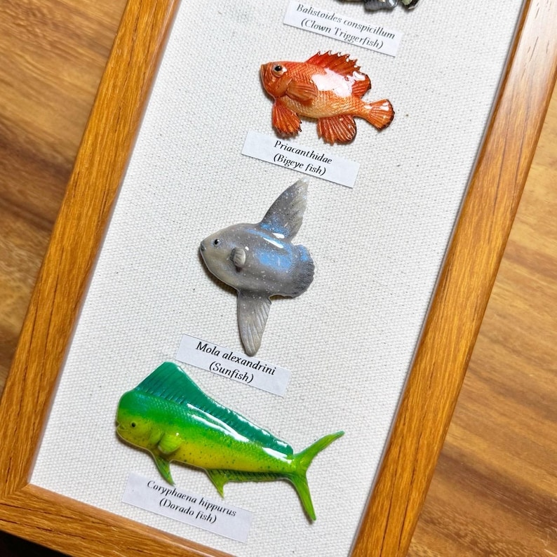 Relief Sculpture Seafish Chart on Frame , Triggerfish,sunfish,dorado ...