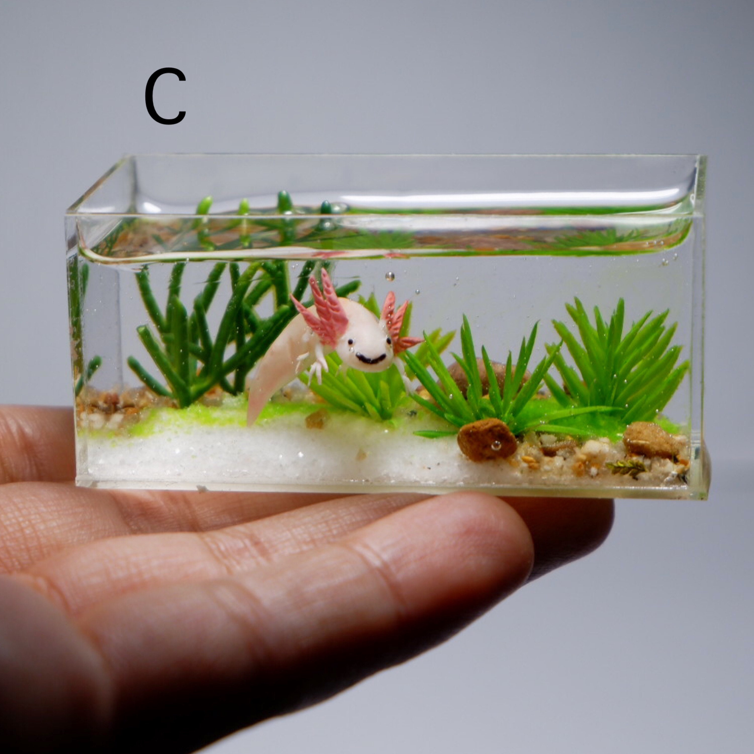 Miniature Clay Axolotl Smiling in the Tank - Etsy