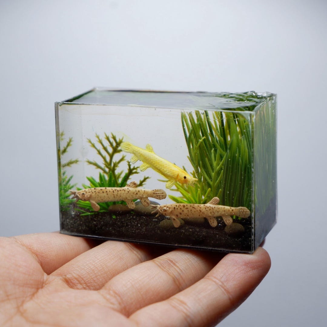 Miniature Clay Dojo Loach Fish in the Tank - Etsy