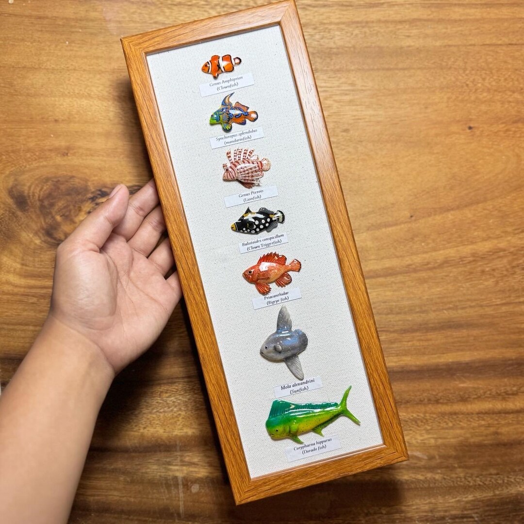 Relief Sculpture Seafish Chart on Frame , Triggerfish,sunfish,dorado ...