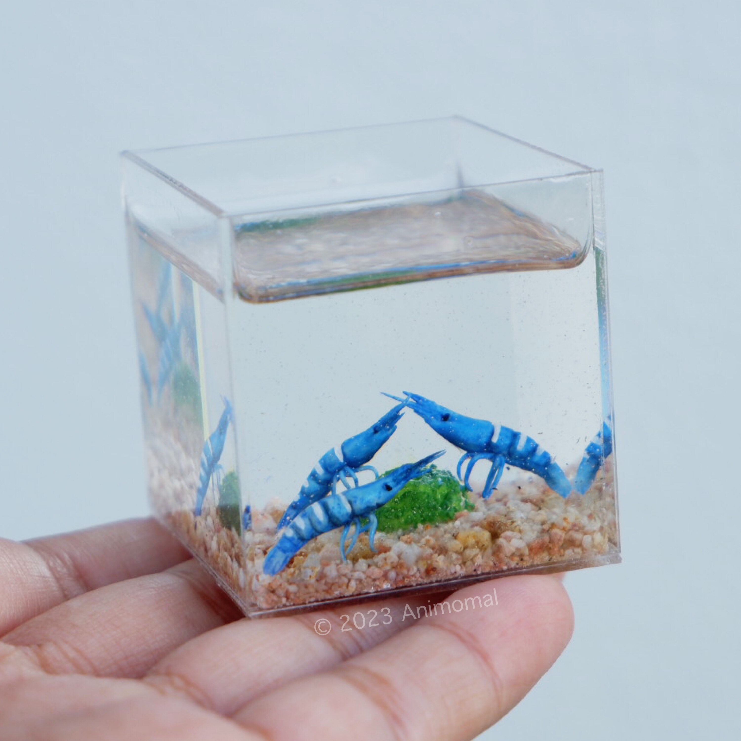Miniature Clay Blue Bee Shrimp in the Tank - Etsy UK