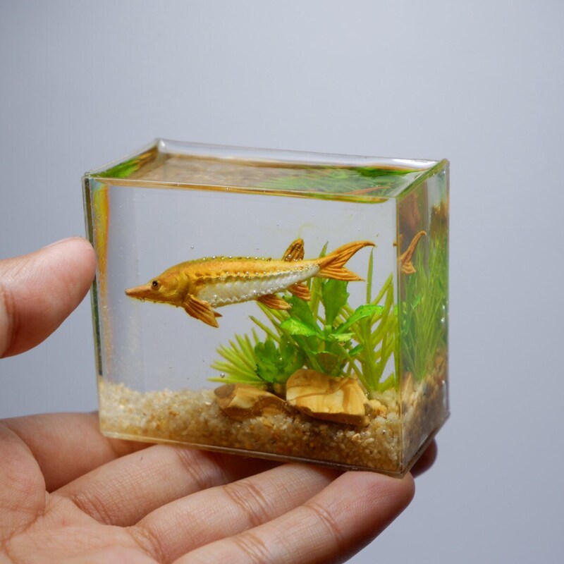 Miniature Fish - Etsy