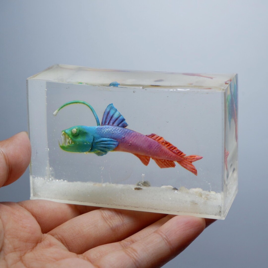 Miniature Viper Fish in the Tank - Etsy