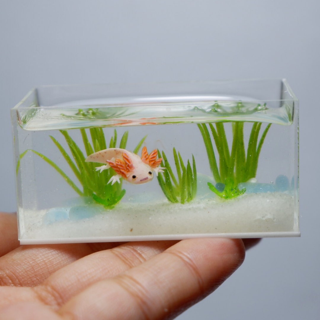 Miniature Clay Axolotl With Raw Aquamarine in the Tank - Etsy