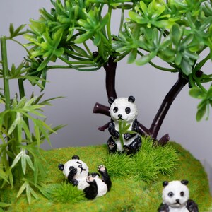 Miniature Clay Panda Garden - Etsy