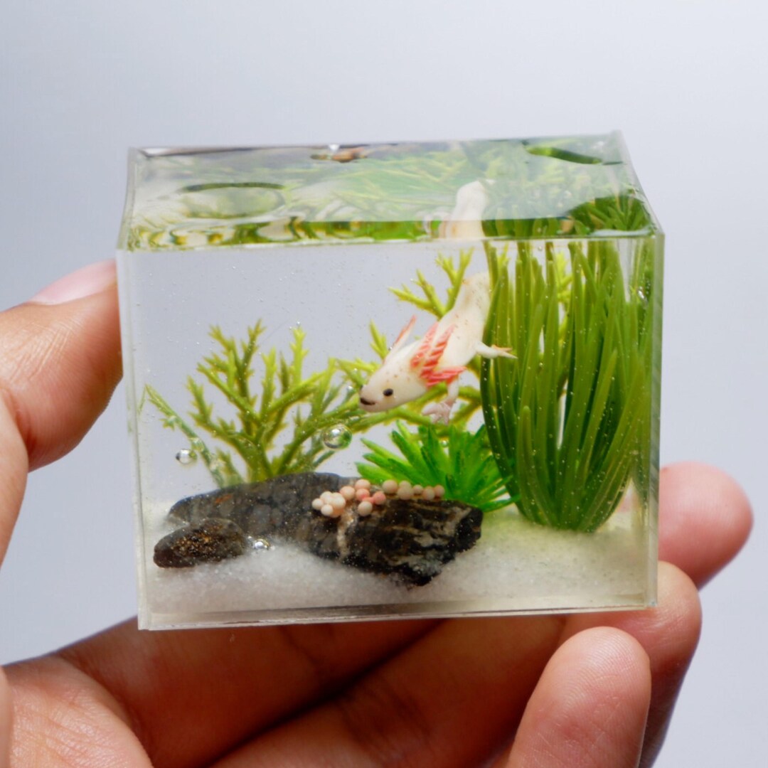 Miniature Clay Axolotl With Her Eggs in the Tank - Etsy