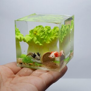 Miniature Clay Axolotl With Cabbage House in the Tank - Etsy