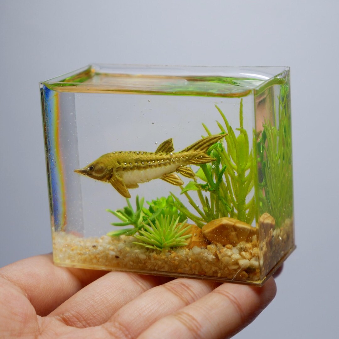Miniature Replica Sturgeon Fish in the Tank - Etsy