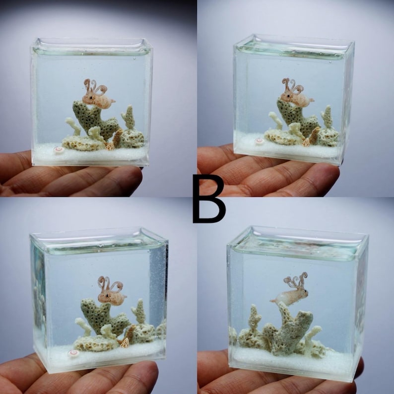 Miniature Piglet Squid in Tank: Tiny Aquarium Decor (3x4x5cm) - Etsy