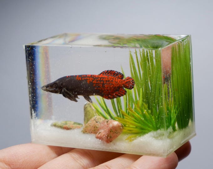 Miniature Replica Arapaima With Unakite Gemstone in the Tank - Etsy