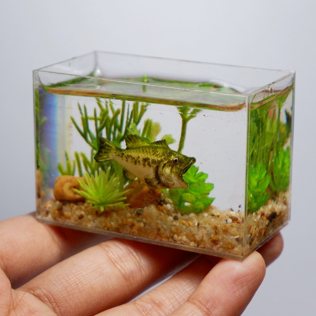 Miniature Clay Largemouth Bass Tank - Etsy