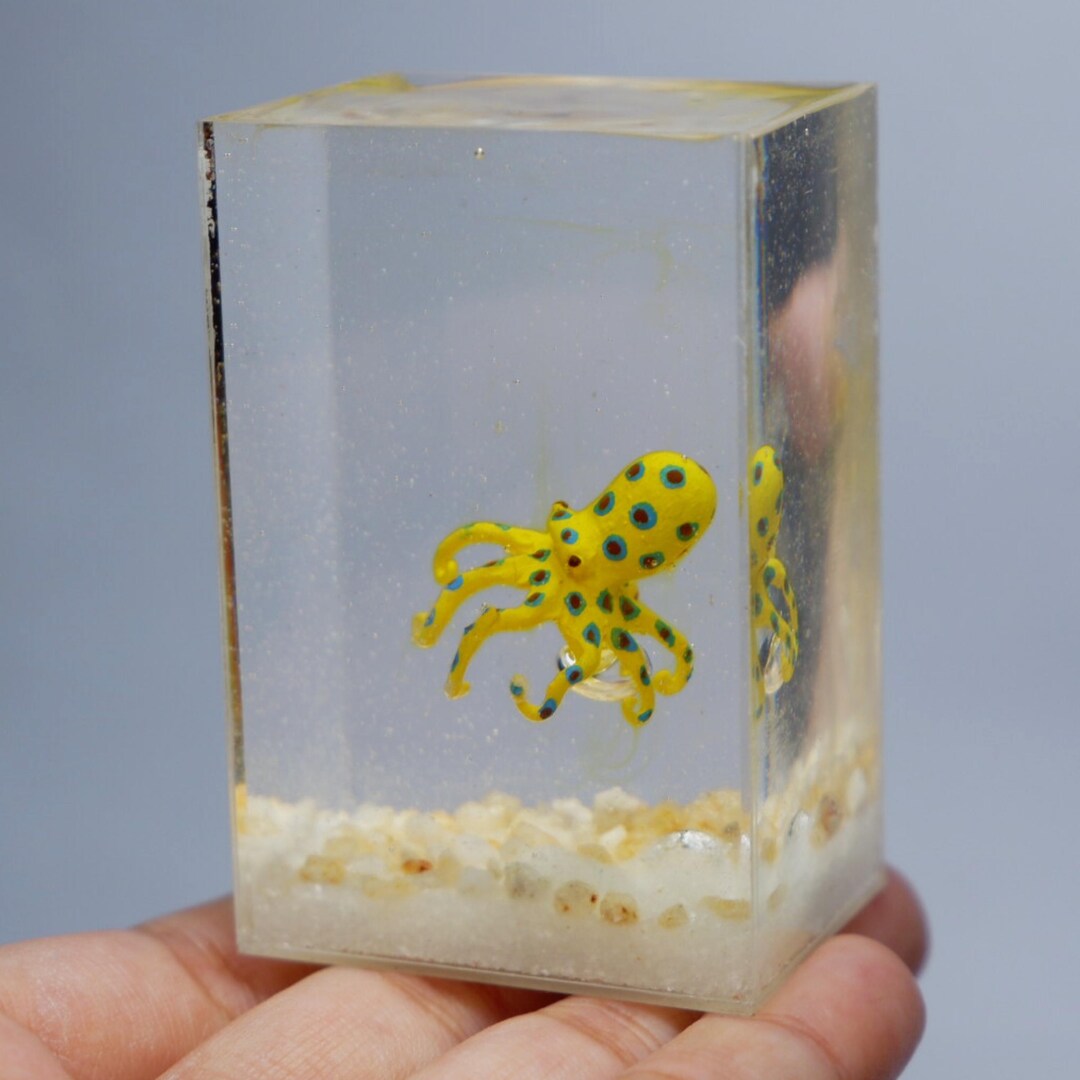 Miniature Blue-ringed Octopus in the Tank - Etsy