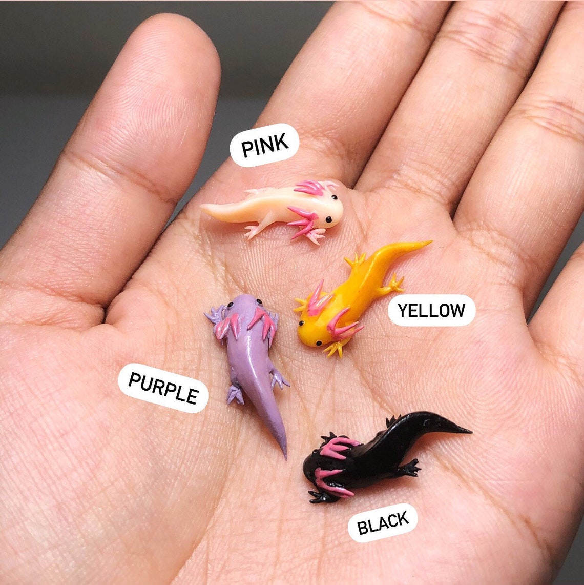 1 Piece Miniature Axolotlminiaturesaxolotlsdollhouse | Etsy