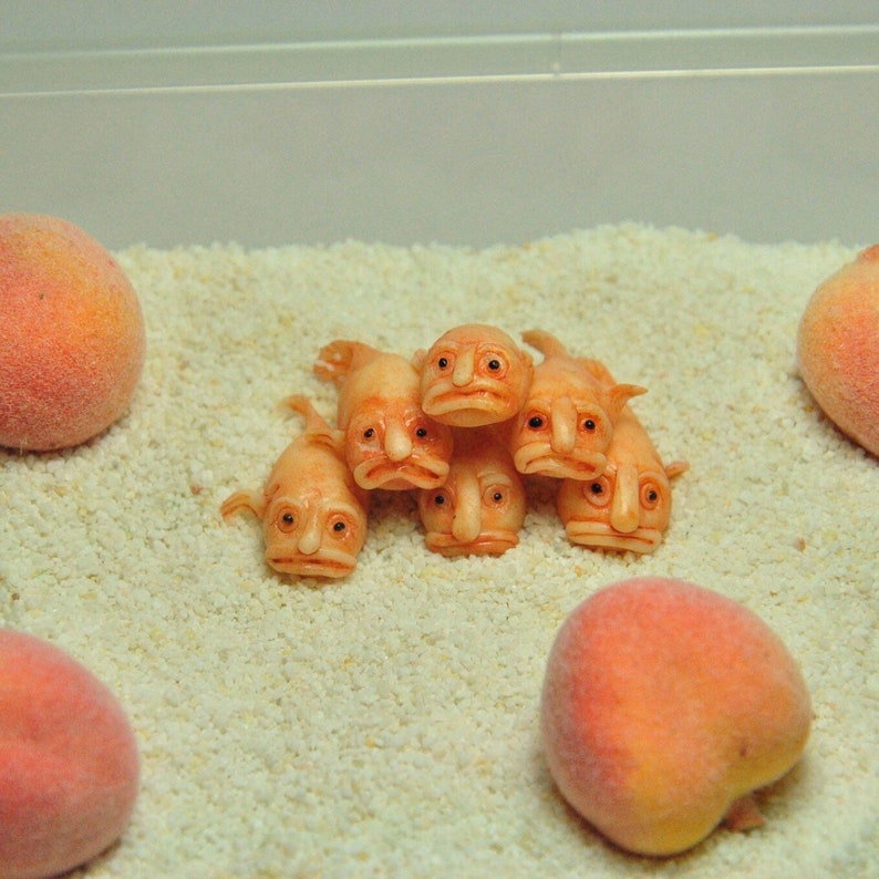 Miniature Blob Fish Blob Fish polymer Clay miniatures | Etsy