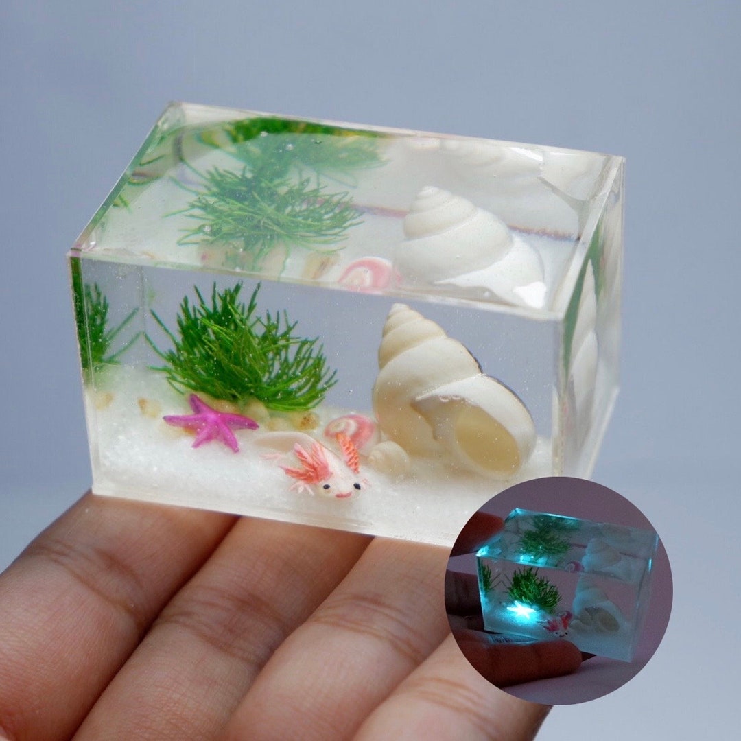 Miniature Clay Axolotl With Shell House and Glow in the Dark Starfish ...