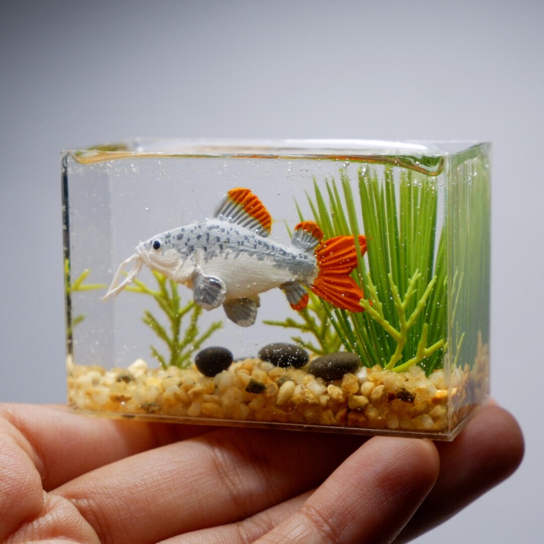 Miniature Replica Redtail Catfish in the Tank - Etsy