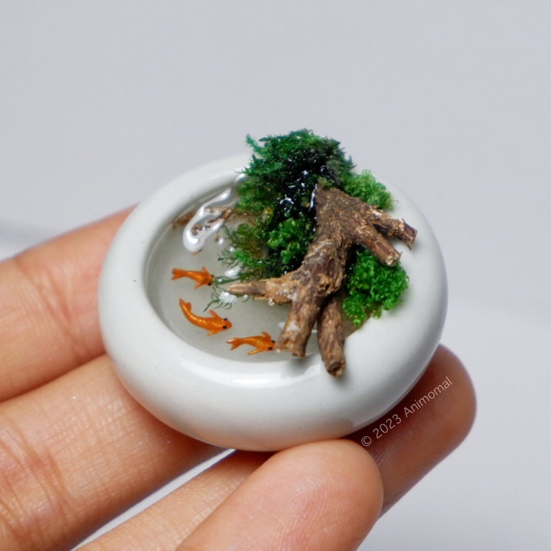 Miniature Fish Pond in Ceramic Bowl - Etsy