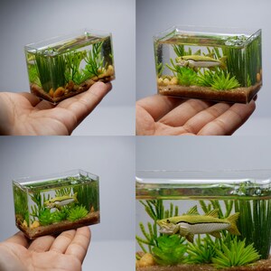 Miniature Clay Common Snook Fish in the Tank - Etsy