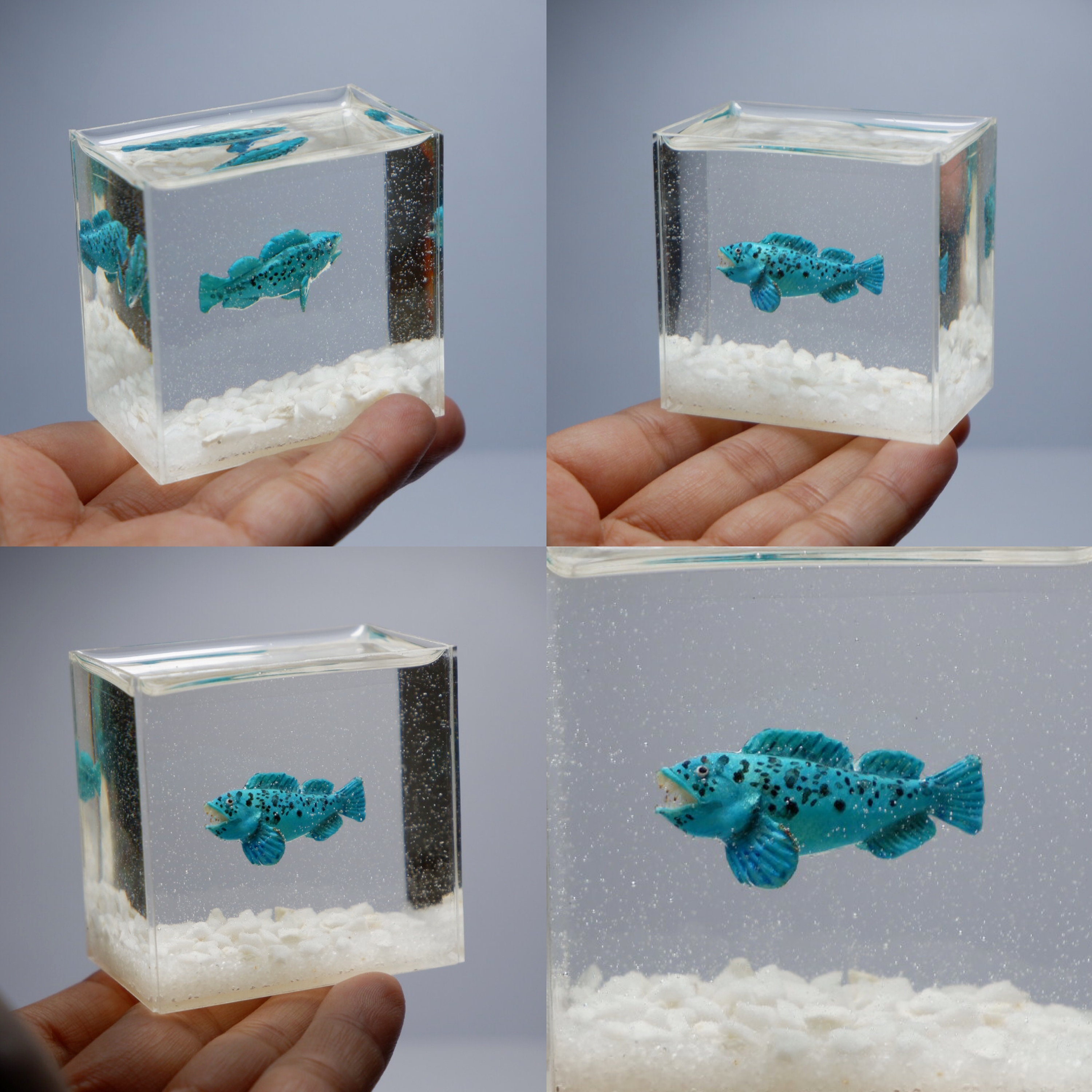 Miniature Clay Blue Lingcod in the Tank - Etsy