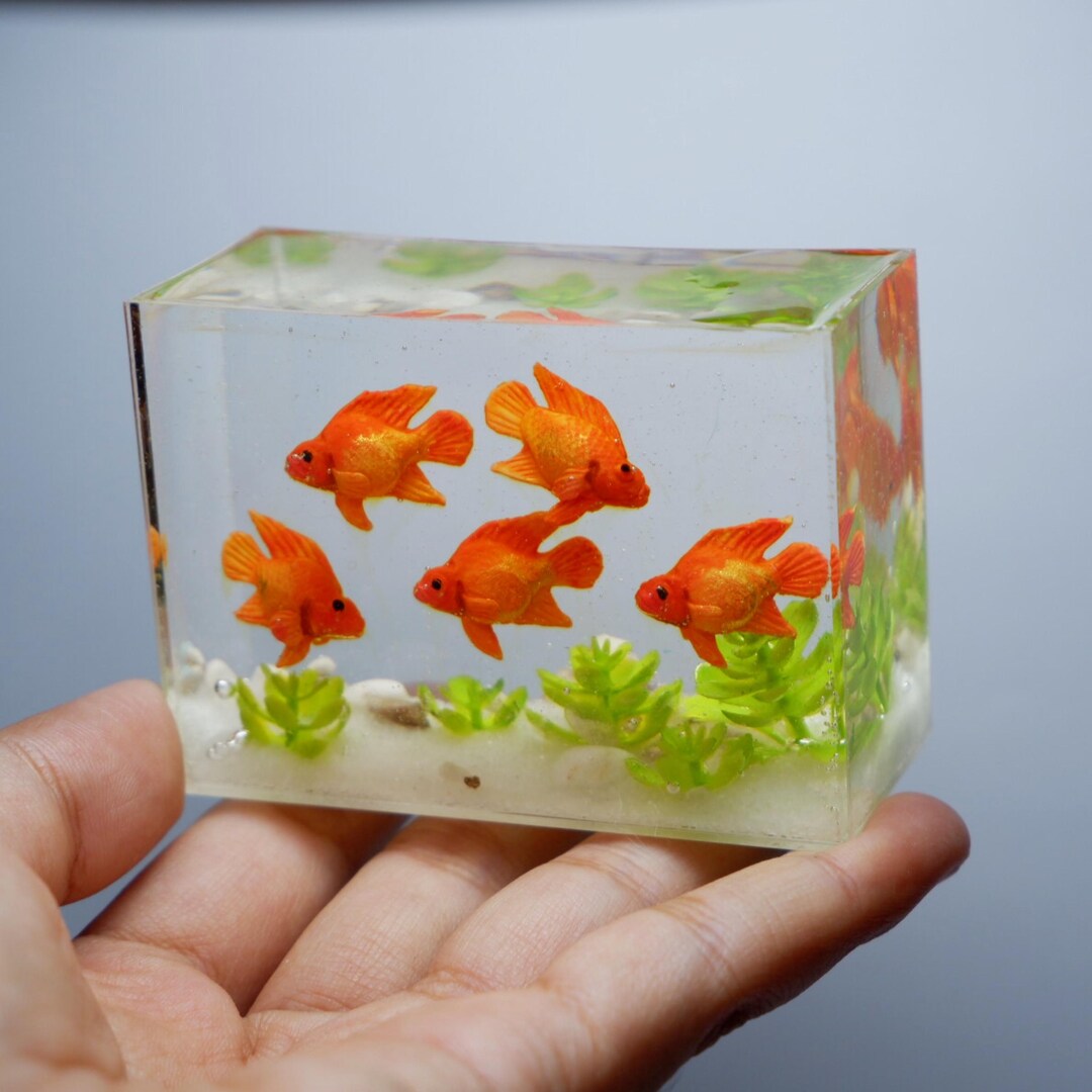 Miniature Blood Parrot Fish Tank - Etsy