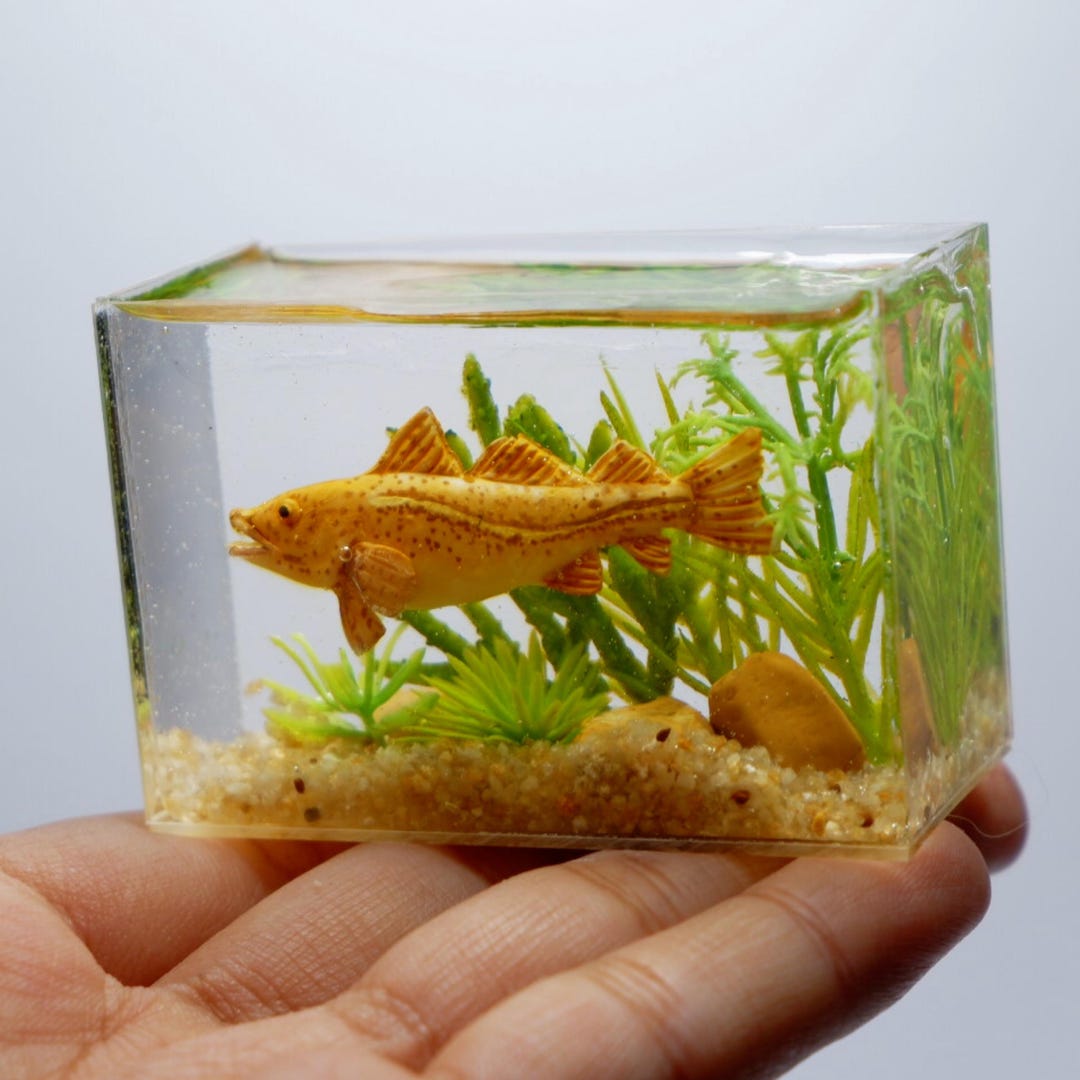 Miniature Clay Atlantic Cod Fish in the Tank - Etsy