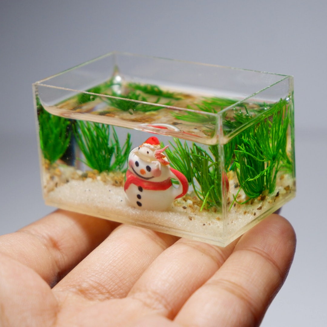 Miniature Clay Axolotl With Snow Man in the Tank - Etsy