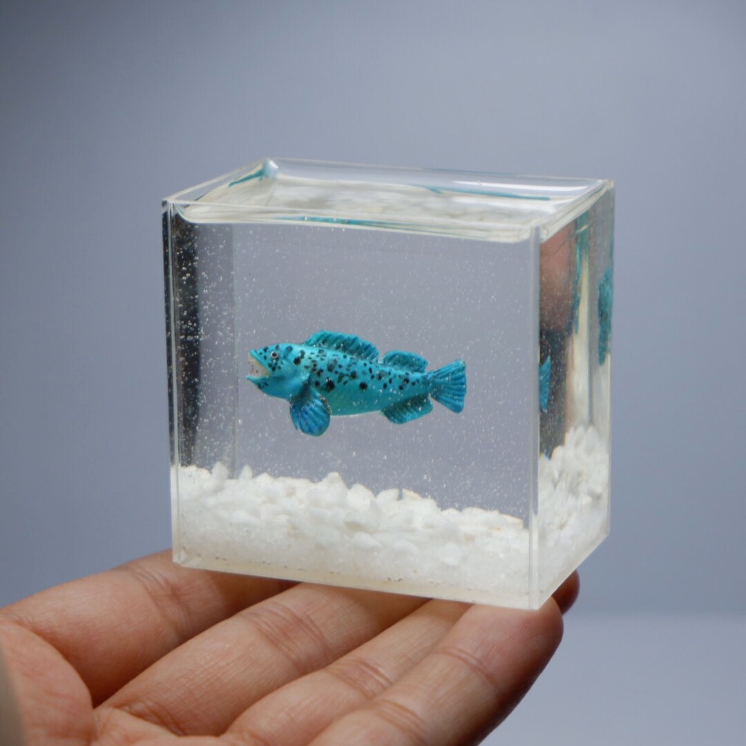 Miniature Clay Blue Lingcod in the Tank - Etsy