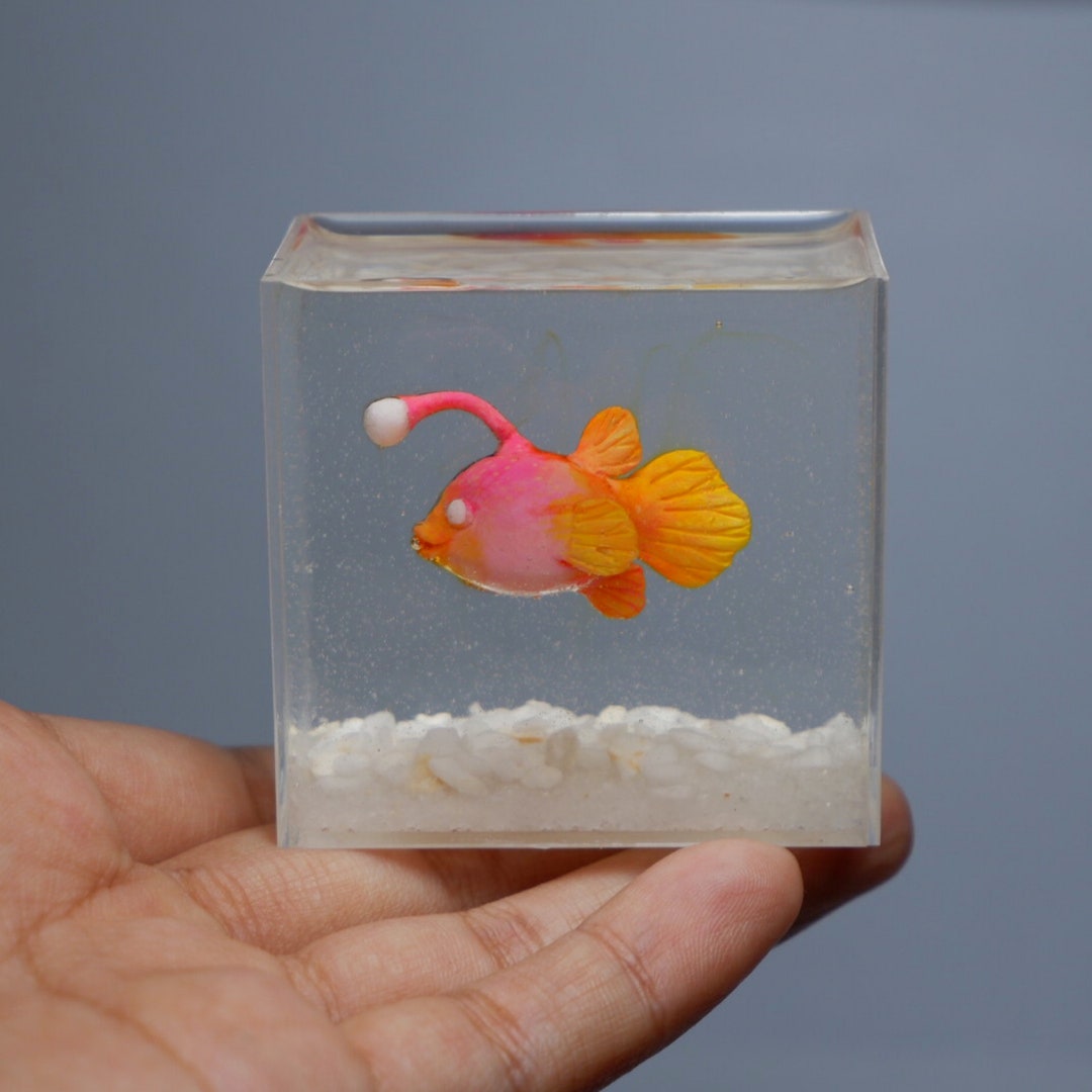 Miniature Angler Fish in the Tank - Etsy