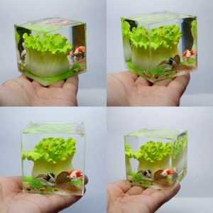 Miniature Clay Axolotl With Cabbage House in the Tank - Etsy