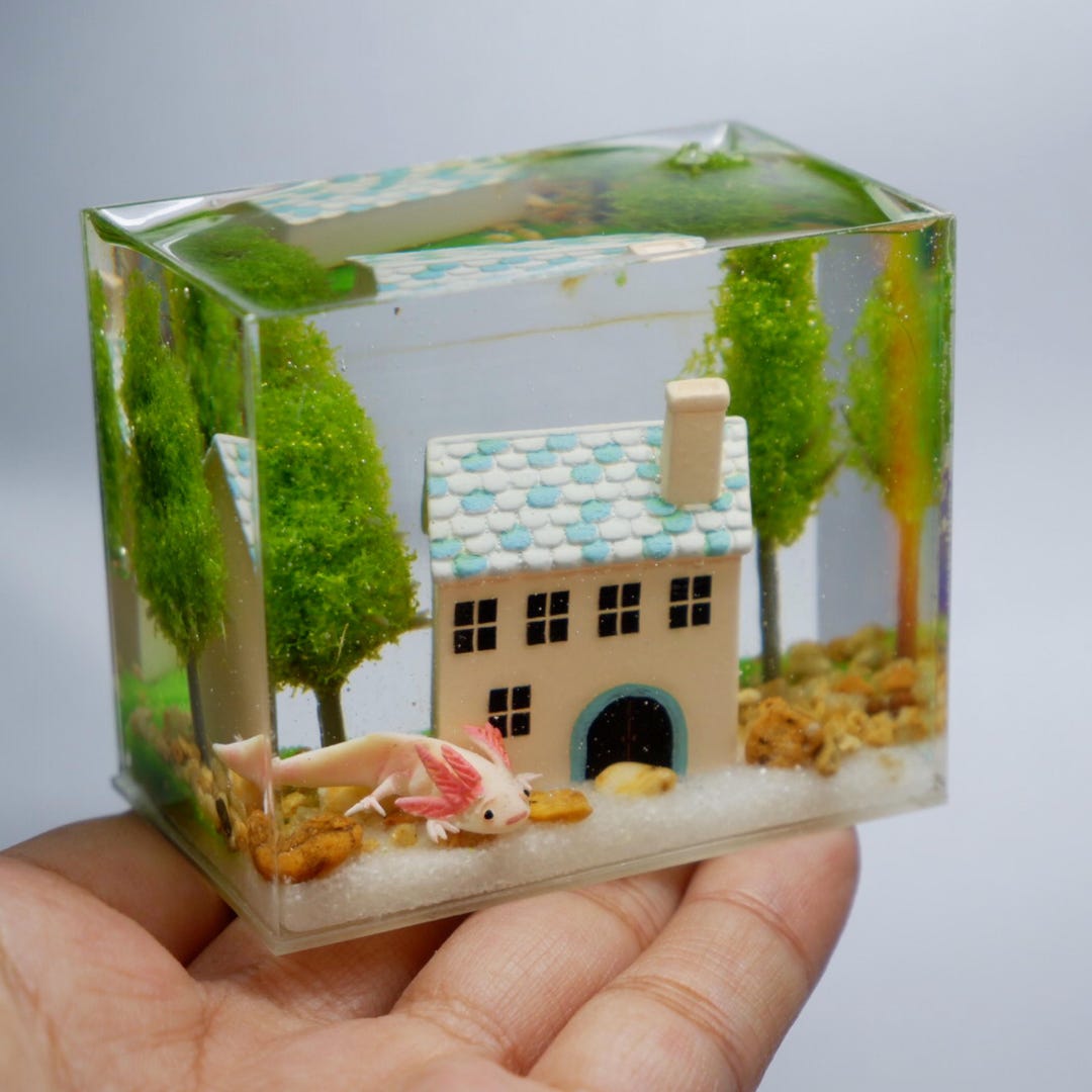 Miniature Clay Axolotl Tank With Cosy House - Etsy