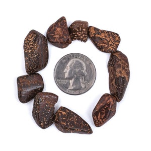 Starburst Jasper, Single Stone, Small Tumbled Stone, Metaphysical Shop ...