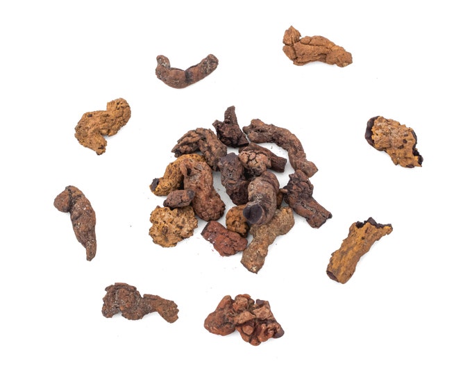 3"-4" Dinosaur Poop Petrified Coprolite Natural Fossil Rock Stone ...