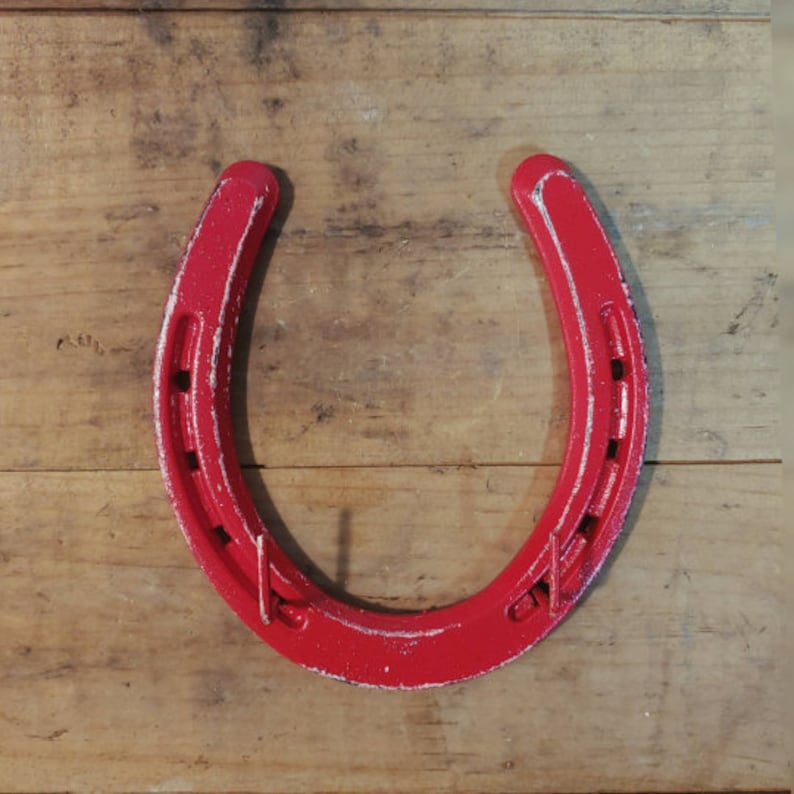 Vertical Belt Buckle Display 3-10 Buckles - Etsy