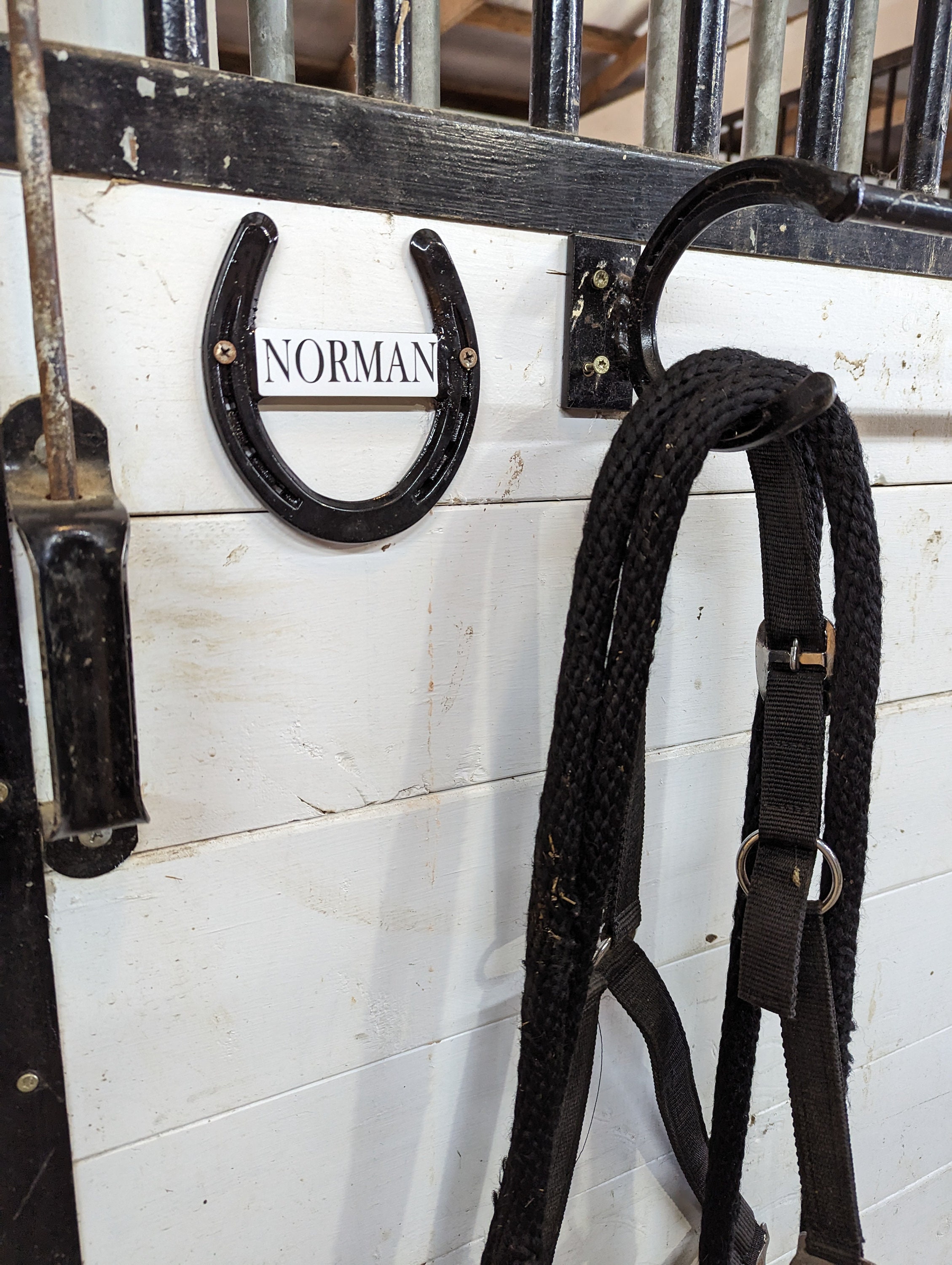 Horse Stall Name Plates - Etsy