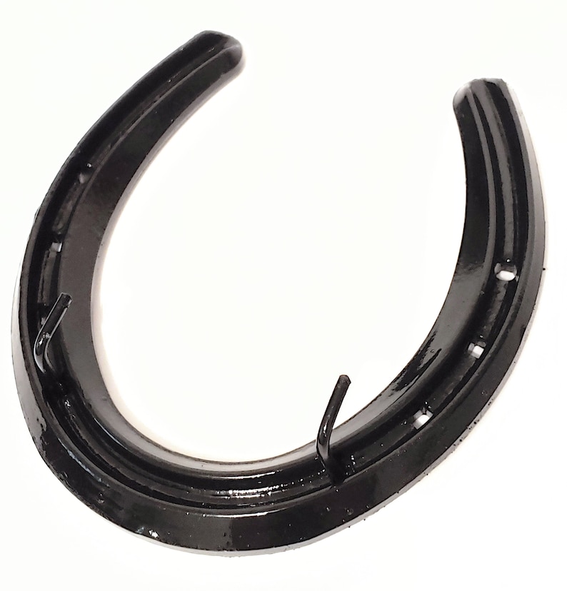 Vertical Belt Buckle Display 3-10 Buckles - Etsy