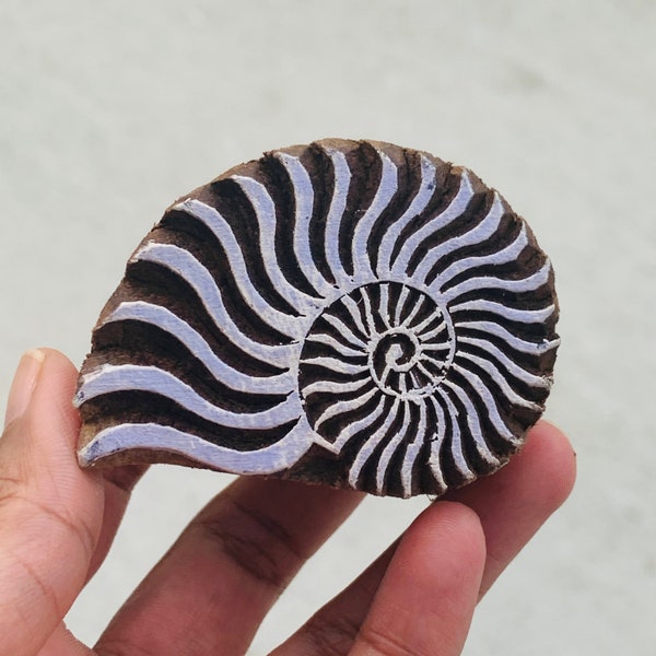 Seashell Pottery - Etsy