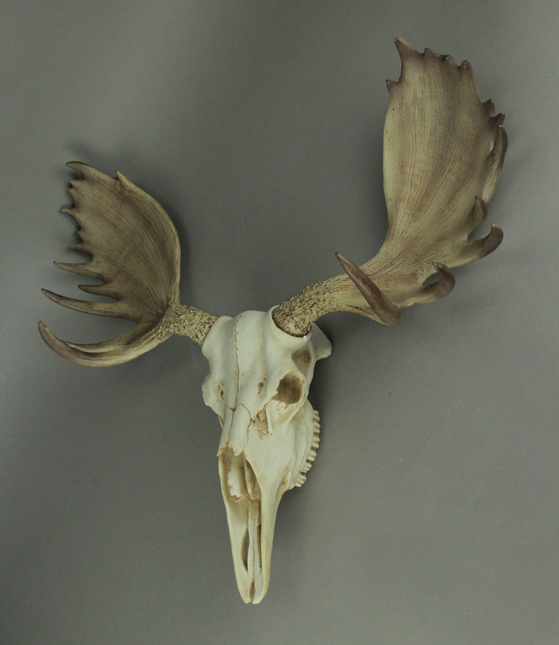 Large Lifelike Bull Moose Skull Hanging Wildlife Decor Statue | Etsy