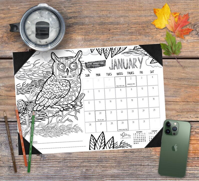 Time2color 2024-25 Nature Theme Academic Desk Blotter Coloring Calendar ...