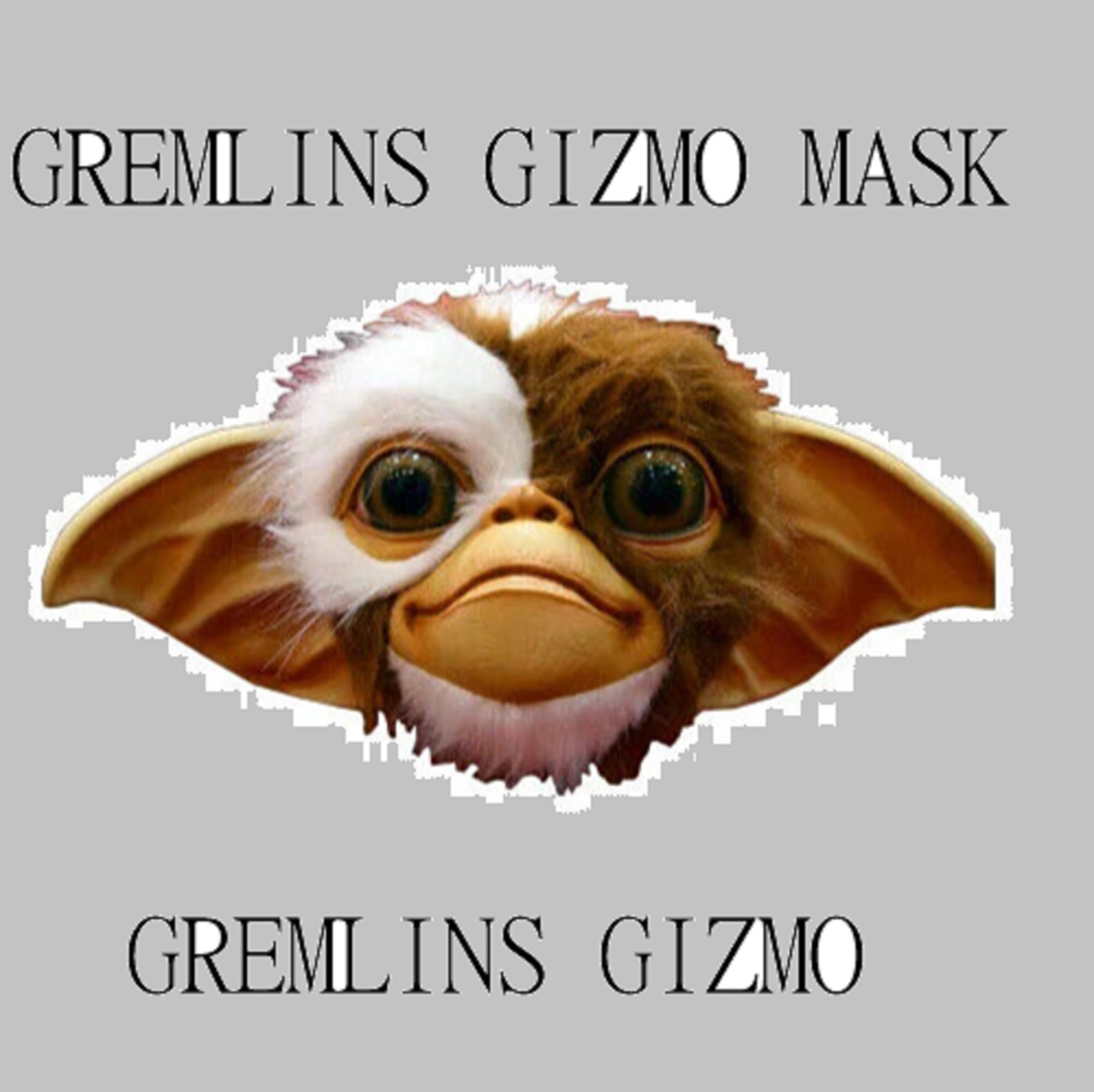 Gizmo Face