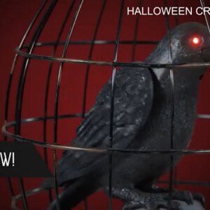 NEW Halloween Animatronic 15 Creepy Caged Black Crow Prop Gemmy, Brand ...