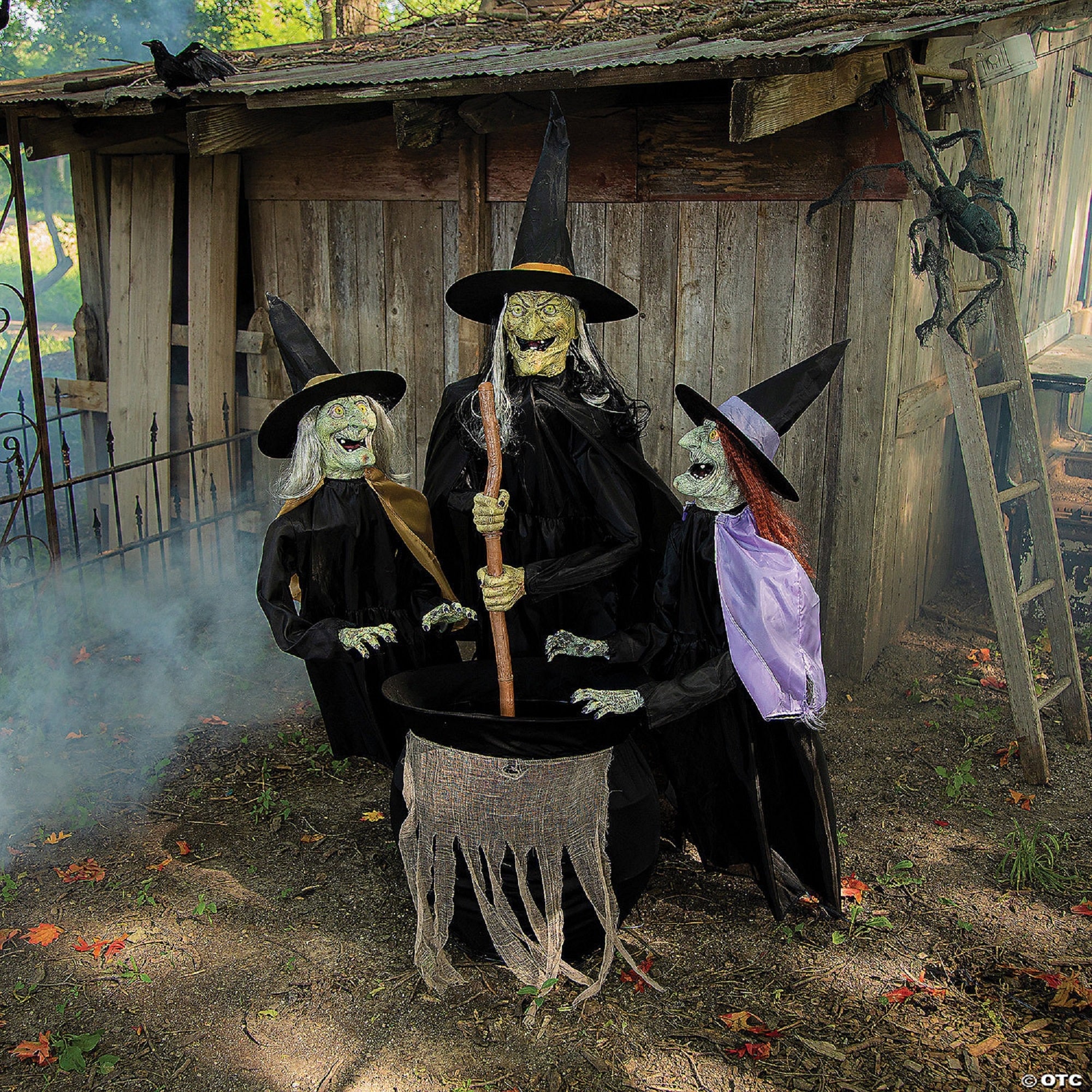 3 Witches Around Cauldron