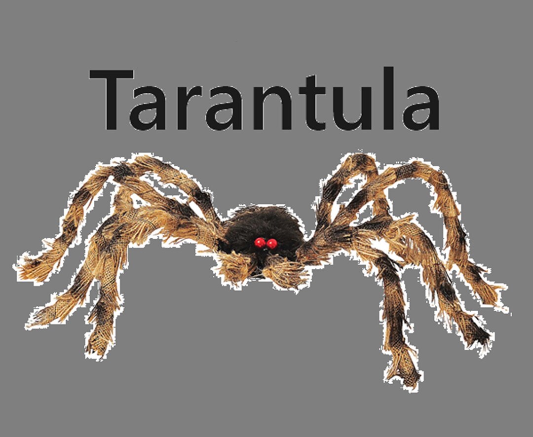 On Sale 25% off NEW Halloween Tarantula Posable Spider 30in Hairy ...