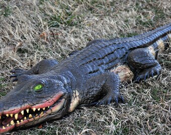 Alligator Prop - Etsy