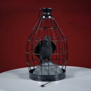 NEW Halloween Animatronic 15 Creepy Caged Black Crow Prop Gemmy, Brand ...