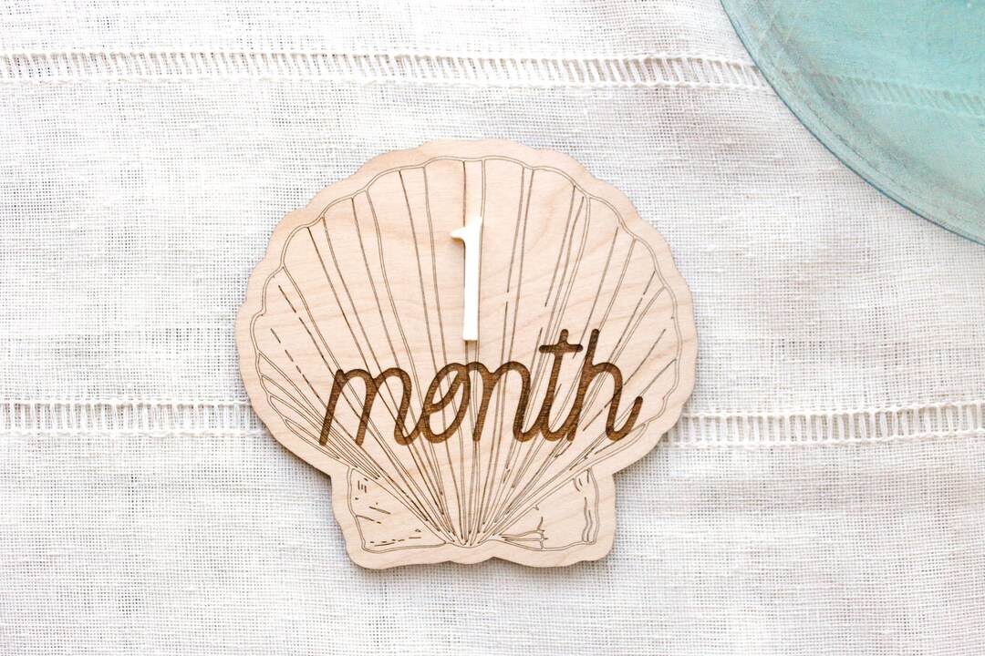 Boho Ocean Seashell Wooden Baby Milestone Signs | Beachy Coming Soon ...