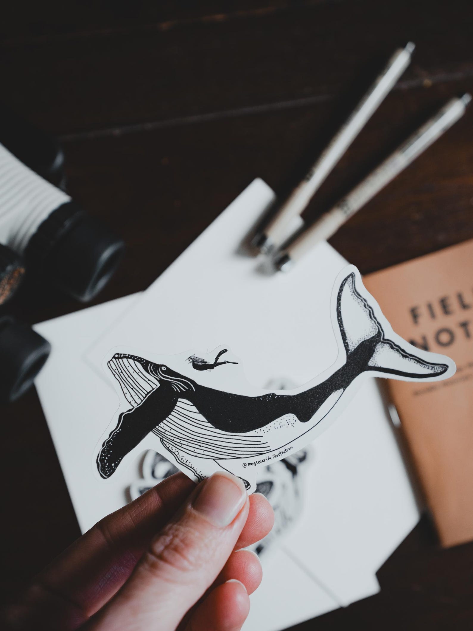 Girl Free Diving With Humpback Whale Fine Line Sticker | Black and ...